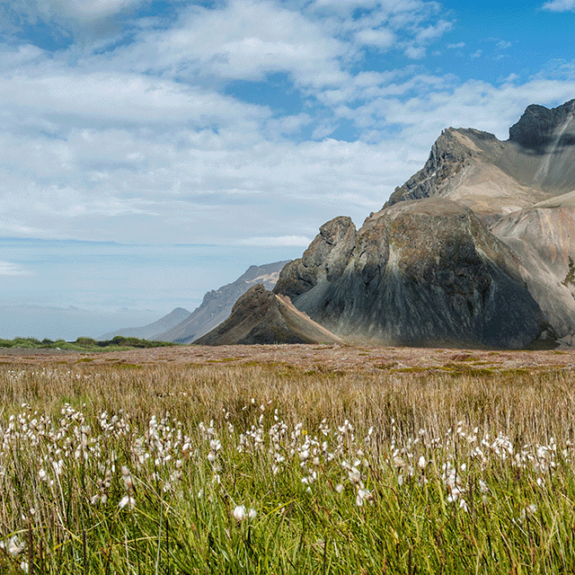 English | Stapi Lífeyrissjóður