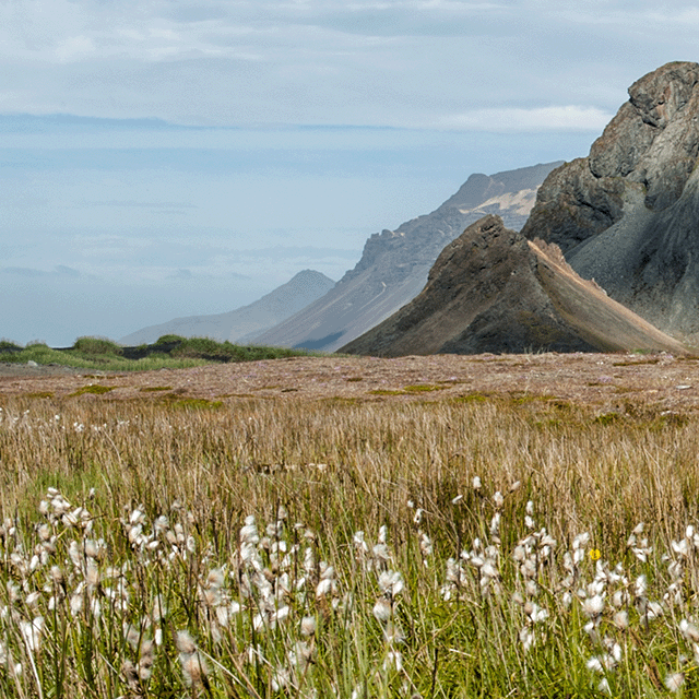 Polski | Stapi Lífeyrissjóður