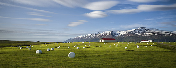 Stapi Lífeyrissjóður